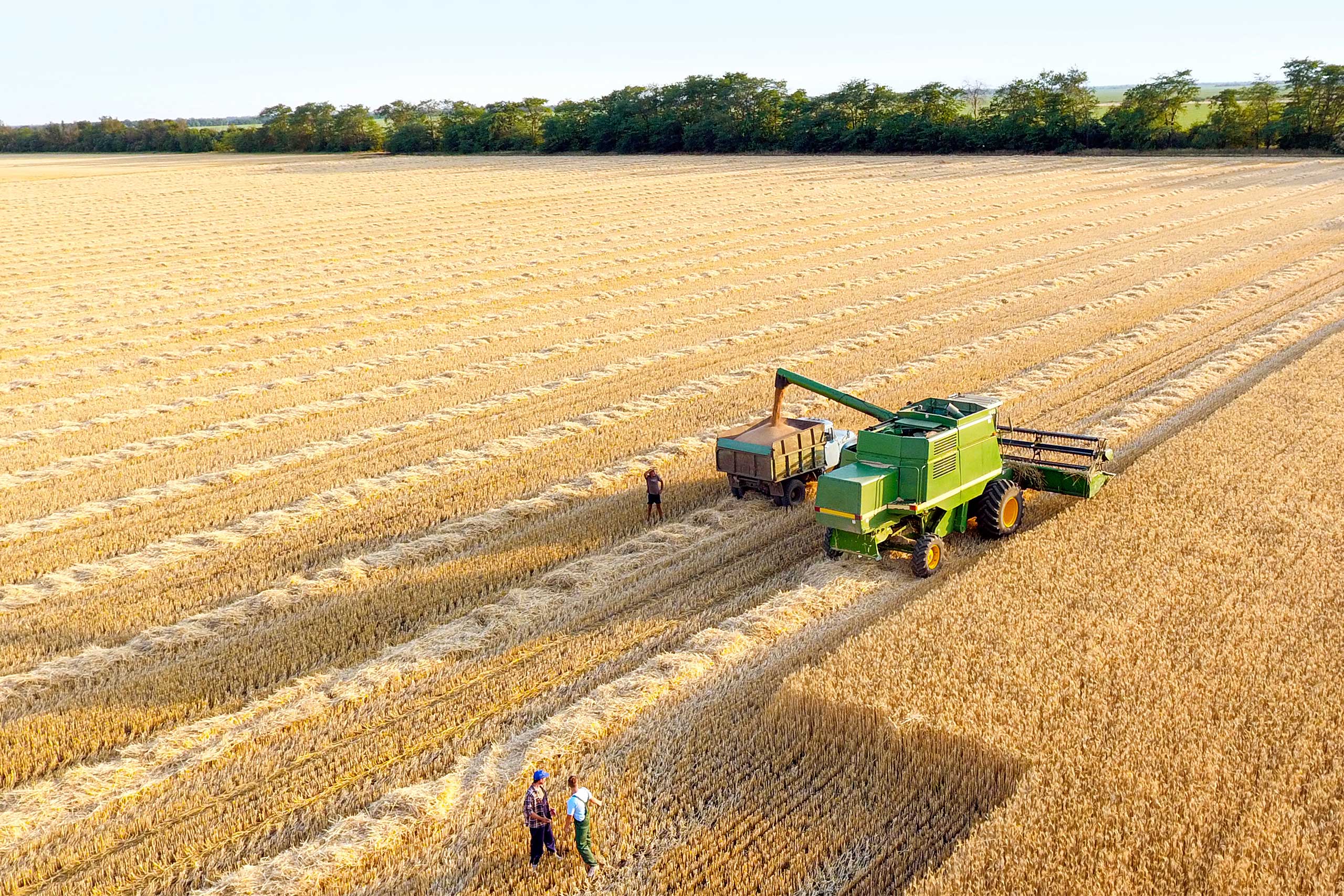 Relentless Ag | Industry-Leading Seed, Crop Protection, and Service